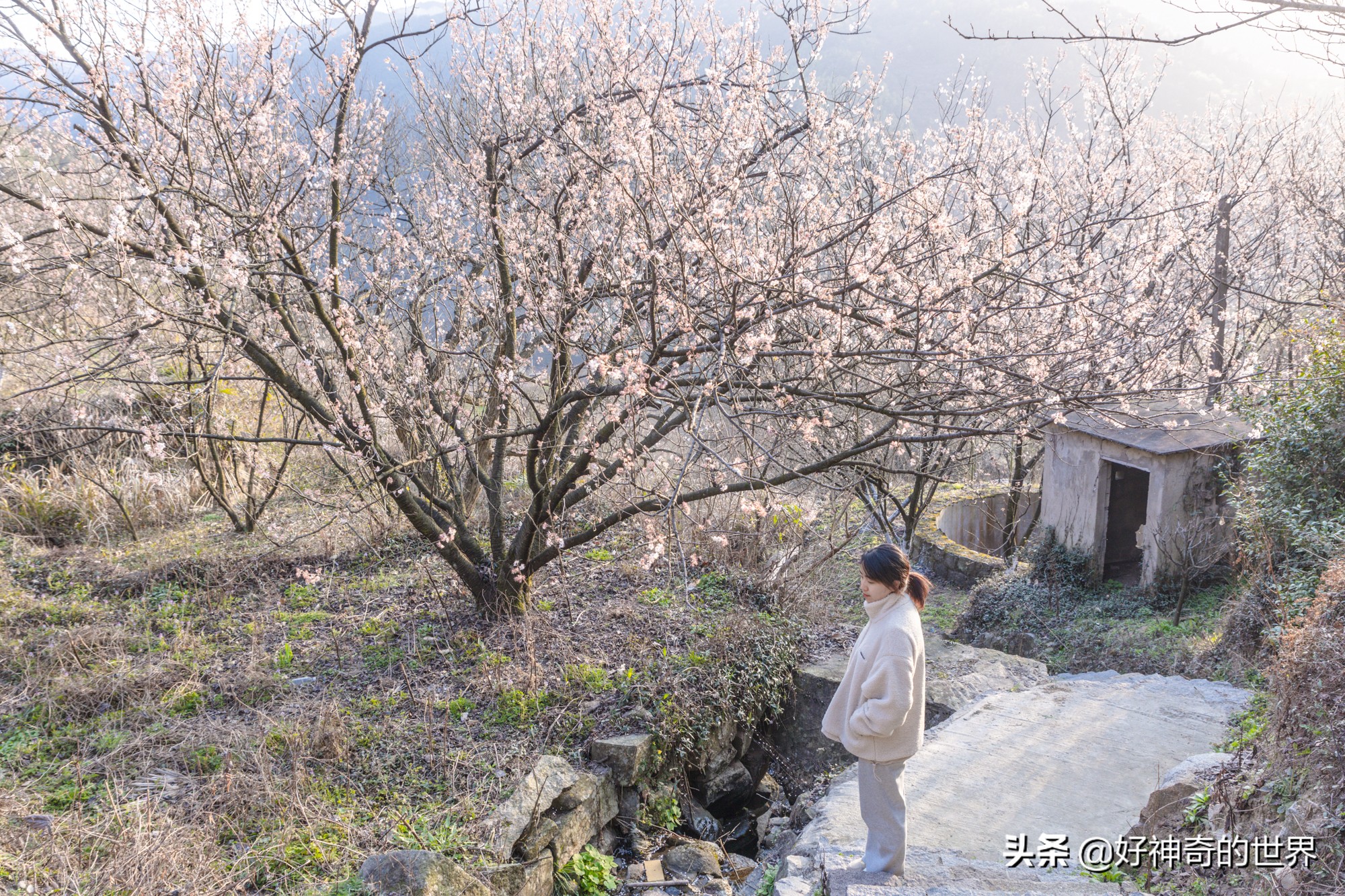 The mountain village in the depths of Siming Mountain in Ningbo is ...
