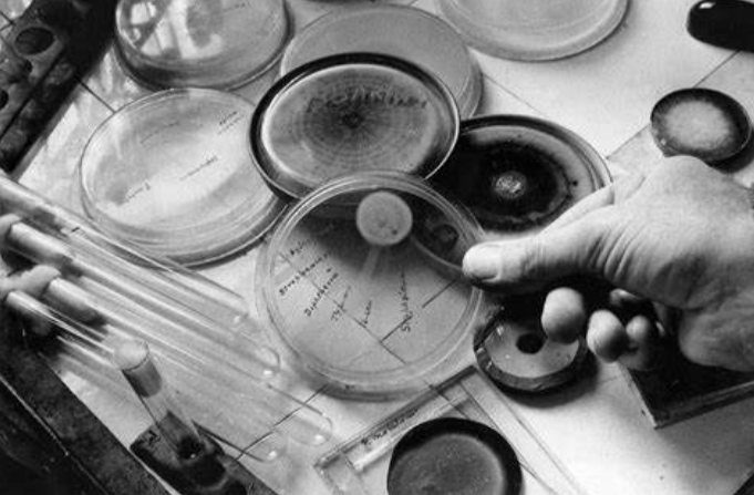 "The panacea", Penicillin and its World War II - iNEWS