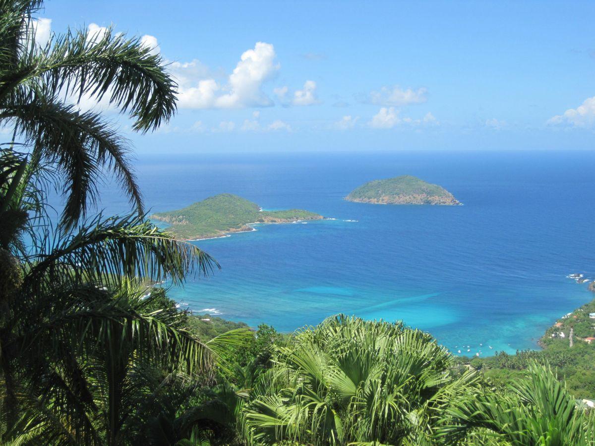 The seven most famous "snake islands" in the world - iNEWS