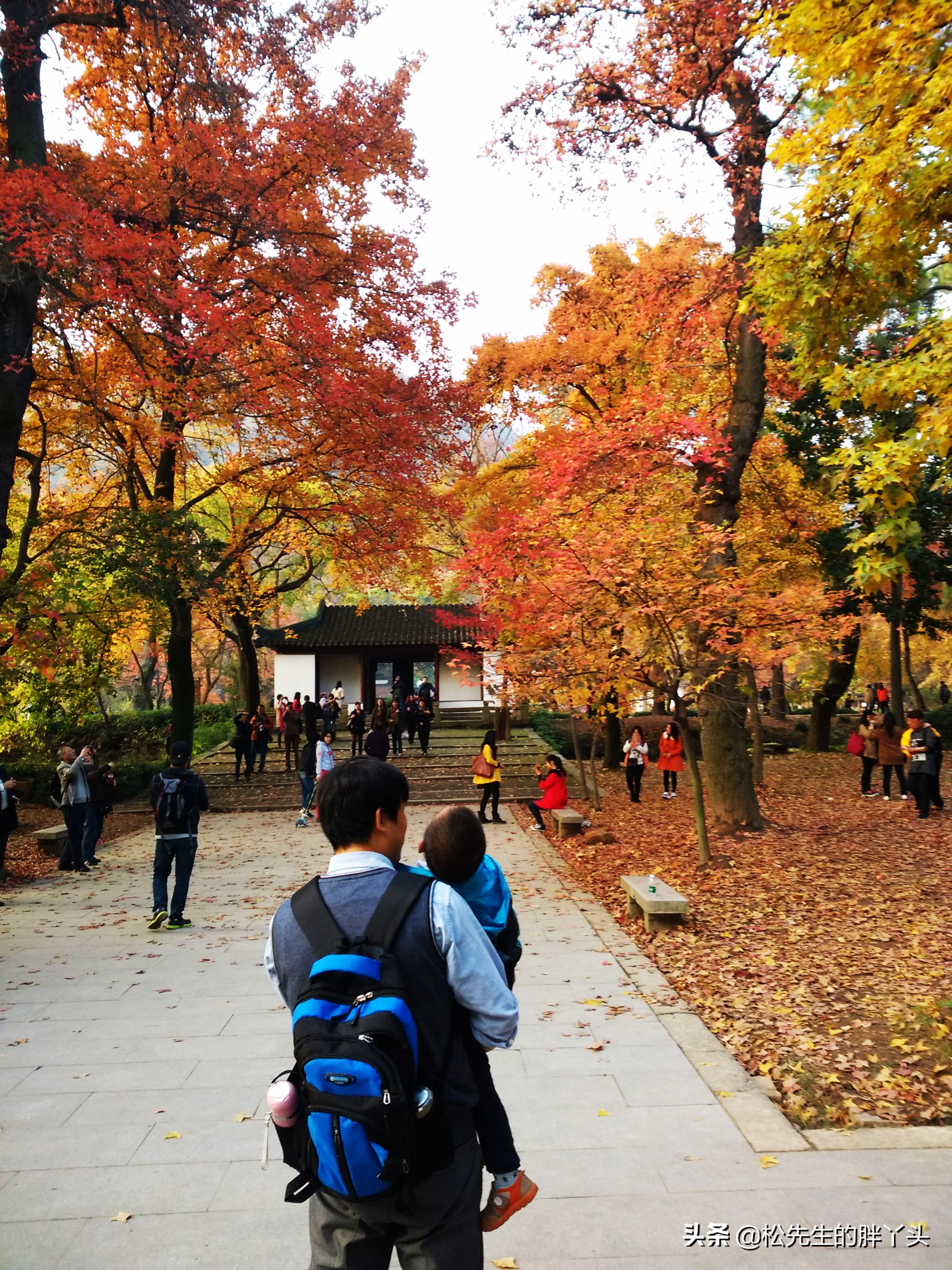 Never come to Suzhou in autumn - iNEWS