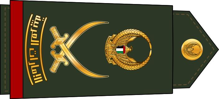 Military rank identification of each country: UAE - iNEWS