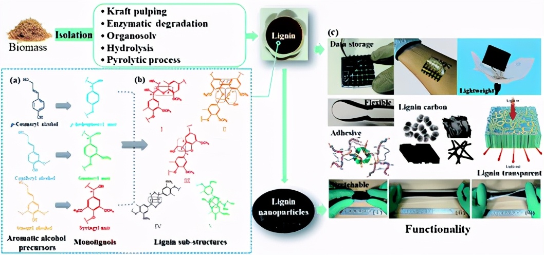 Review: High-performance lignocellulose-derived hydrogel/aerogel-based ...