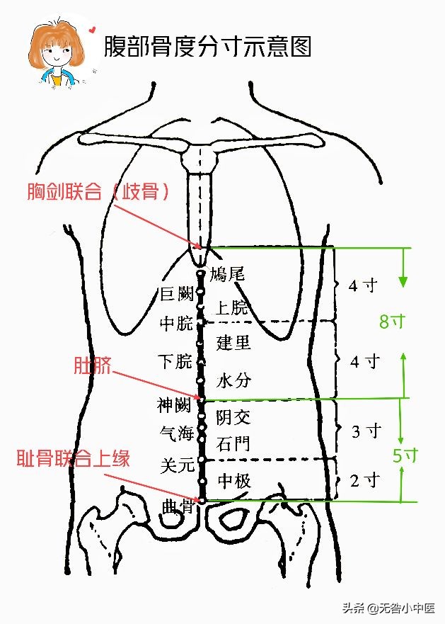 "Acupuncture" 43. Zhongwan (Ren pulse) - iNEWS
