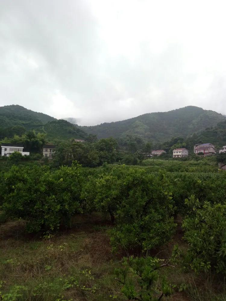 Will the wind remember that flower? The fragrance-the beautiful scenery ...