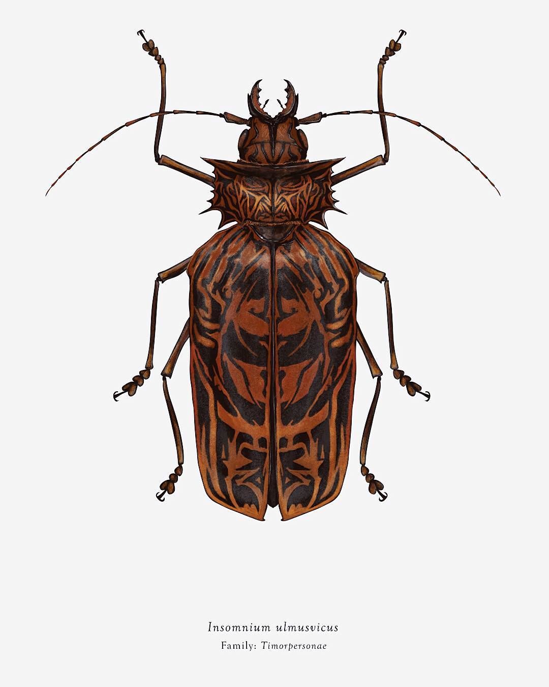 9 kinds of the most evil-looking beetles, exactly corresponding to the ...