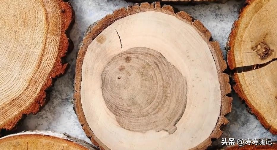 Why is 536 AD the worst year on earth? - iNEWS