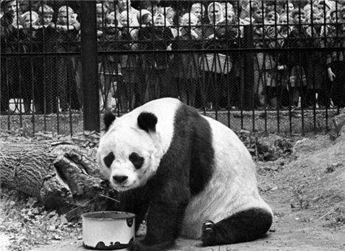 In 1929, President Roosevelt's son fired the first shot to kill a giant ...