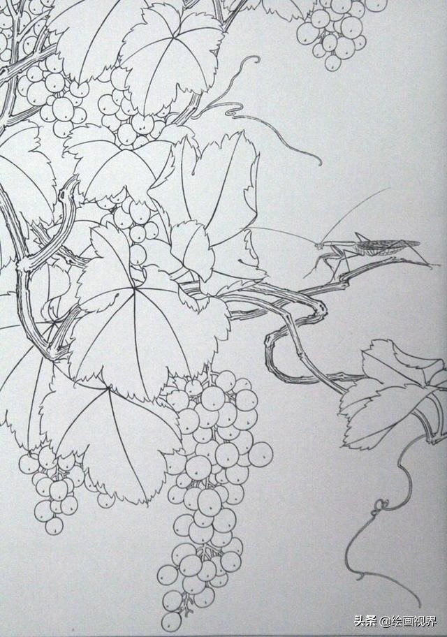 How do beginners draw correctly?Hurry up and collect these rare line ...