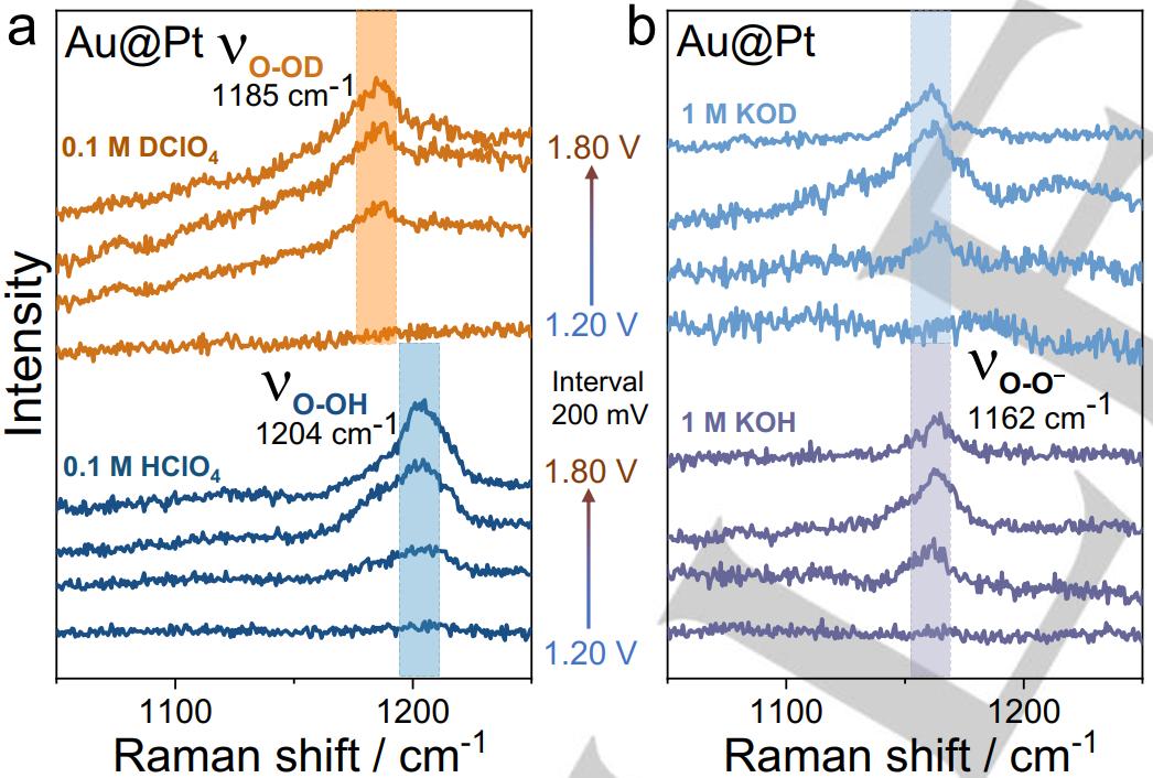Nankai Xiewei team Angew: Surface-enhanced Raman spectroscopy proves the key transition state of ...