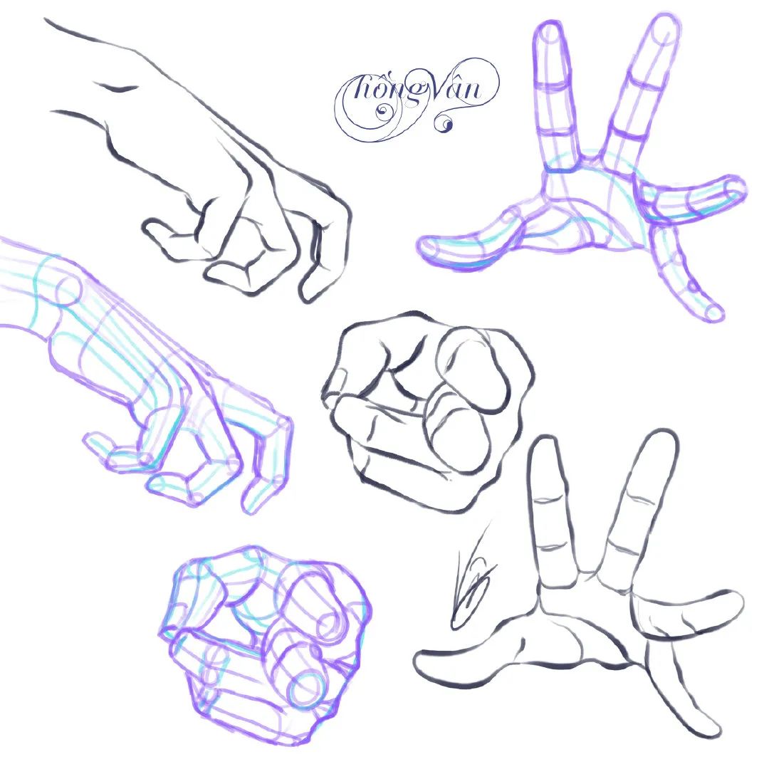 "Painting Reference" Human hand drawing reference shared by painter ...
