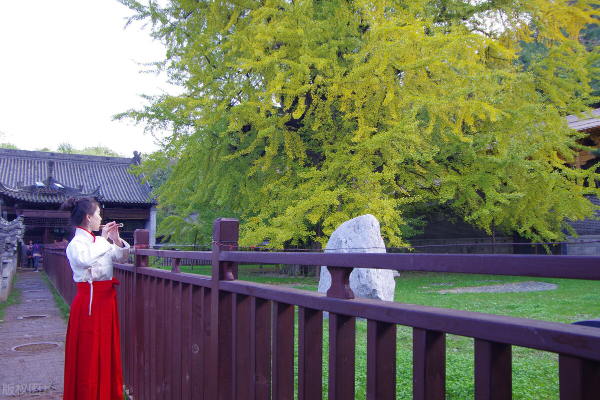 The Most Beautiful Prose Poem: Two Chapters of Autumn Rhyme - iNEWS