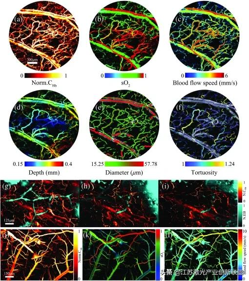City University of Hong Kong realizes five-wavelength optical ...