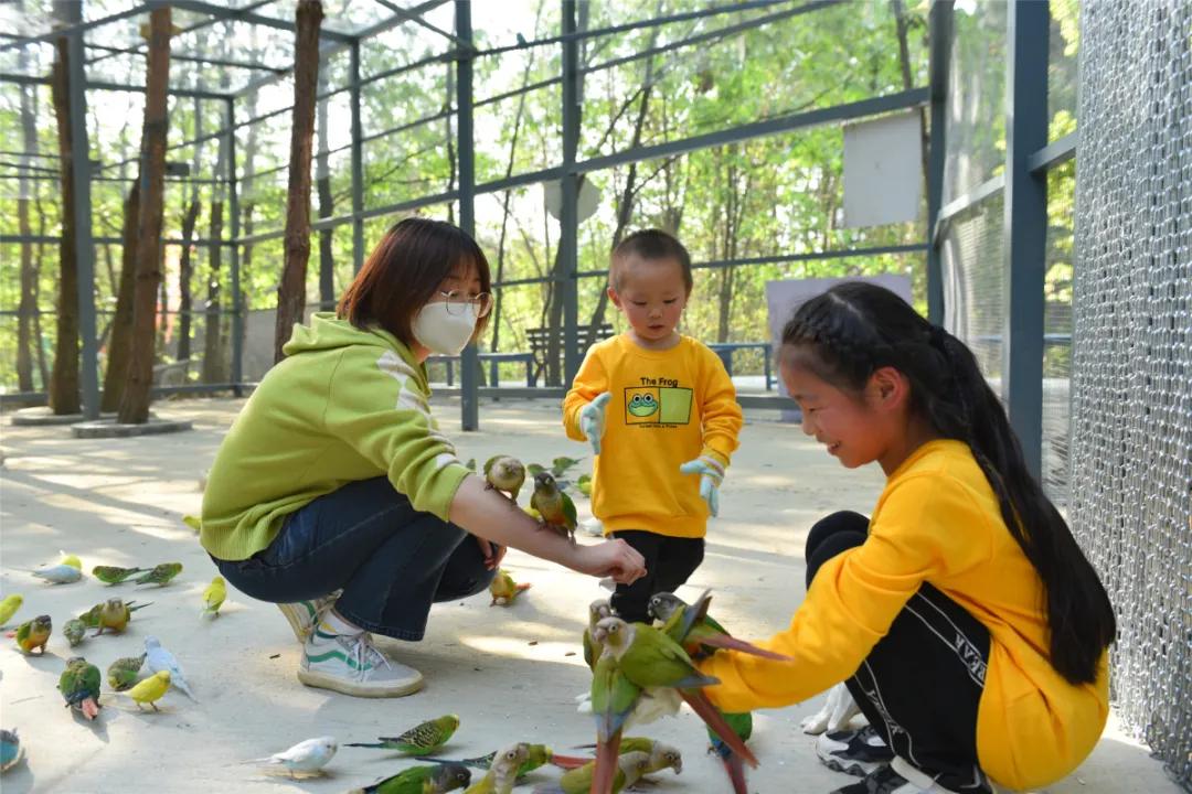Nanjing Squirrel Tribe grandly opened on October 1, and 5000 tickets ...