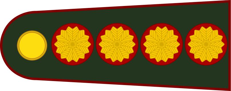 Military rank identification of each country: Argentina - iNEWS