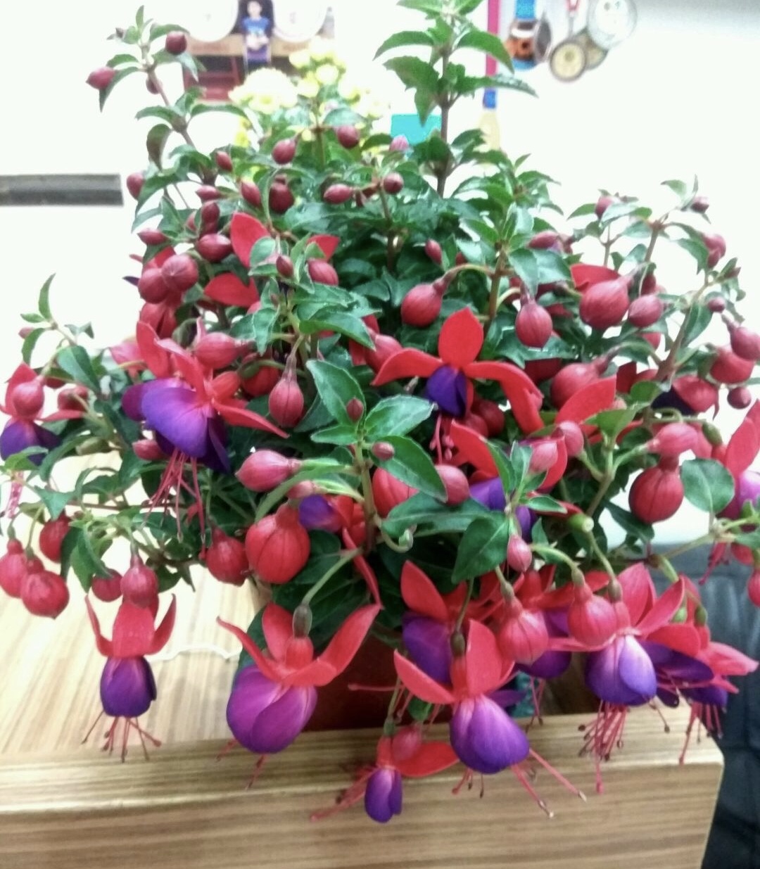 If the temperature is higher than 30°C, 4 things to "do right" to raise ...