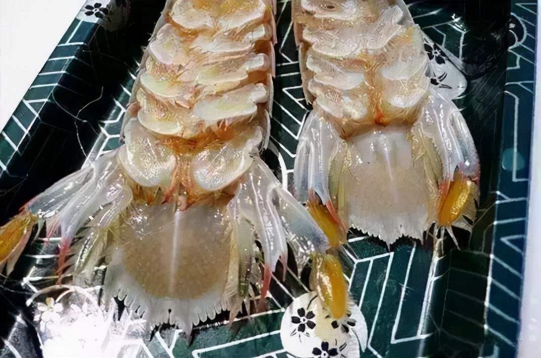 In September, I opened the sea, learned this little trick, and from ...