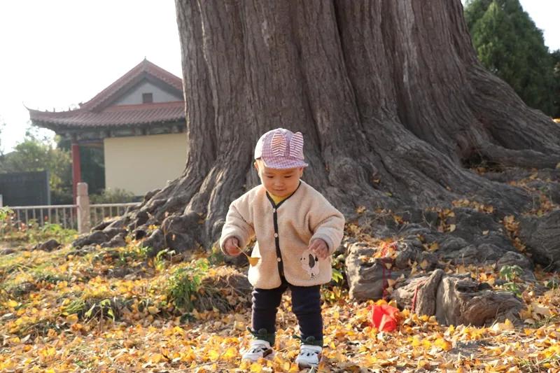 Jiang's Ancestral Hall in Lanshan District: A Century of Ginkgo Dyeing ...