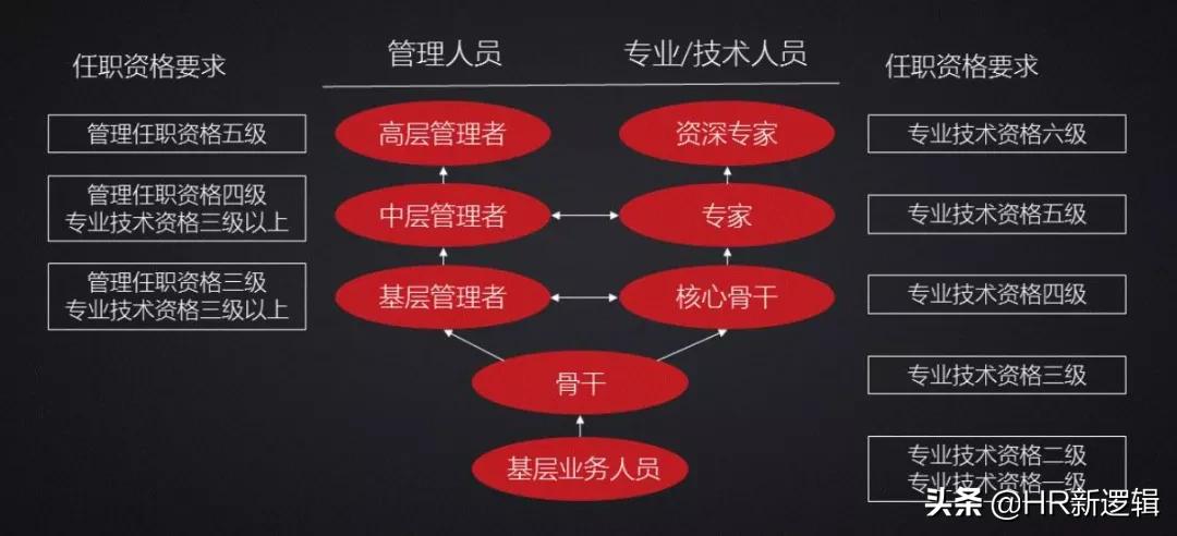 Tencent's "Qianlong + Flying Dragon" talent training plan is exposed ...