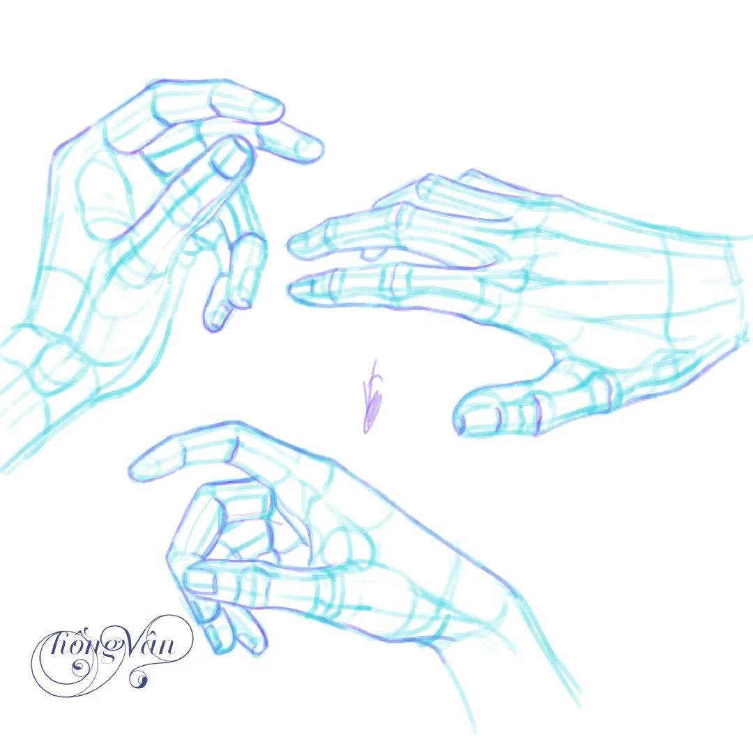 "Painting Reference" Human hand drawing reference shared by painter ...