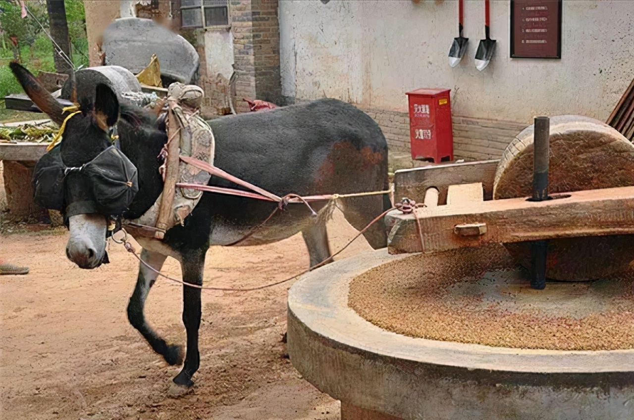 The old saying: "Donkey meat is fragrant, horse meat is smelly, do not ...