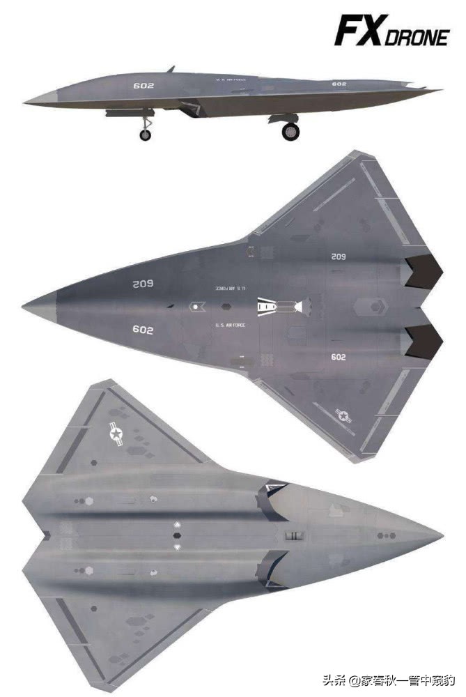 Seeing whether the flying wing body of NGAD and the canard wings of F/A ...
