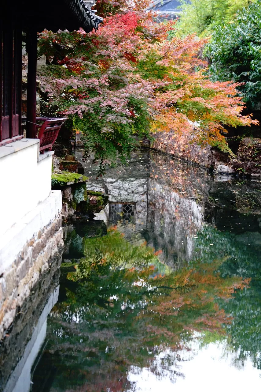 In autumn, Suzhou becomes Gusu - iNEWS