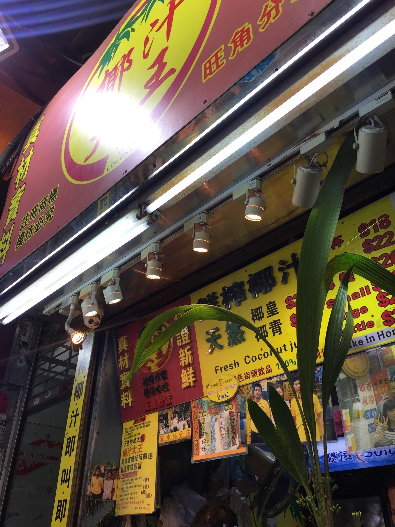 7-day girlfriend tour in Hong Kong - iNEWS