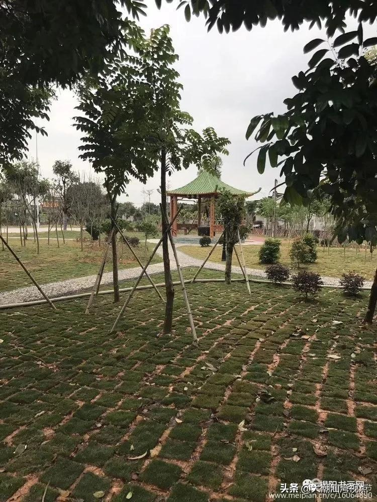 Jieyang Huang Family Settlement-Junpu - iNEWS