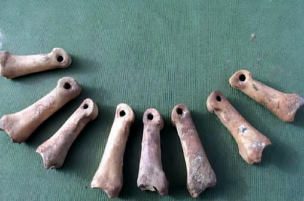 It turns out that humans have known that wearing jewelry is beautiful ...