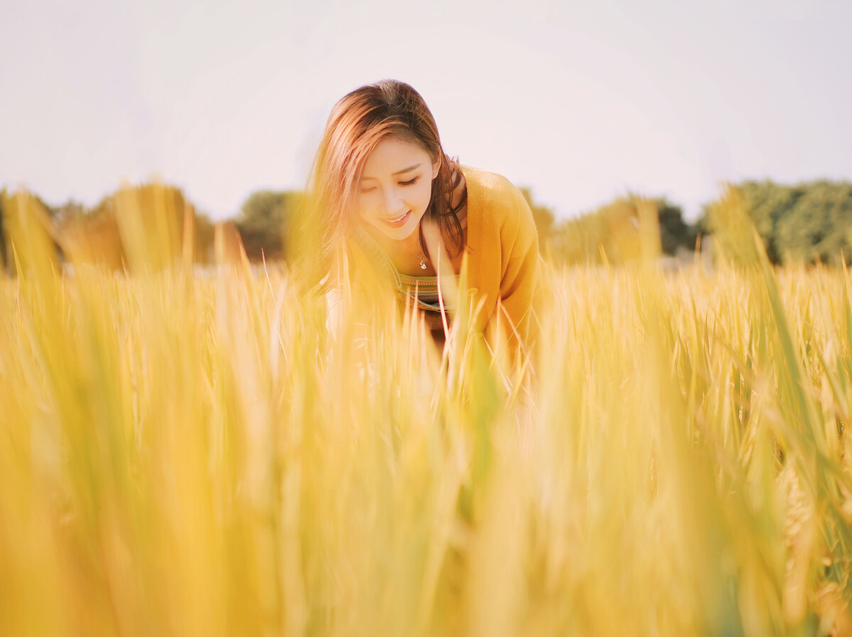 How to take a portrait photo of a rice field? Try these 7 photo poses ...