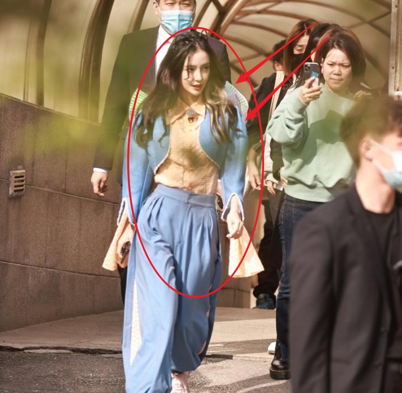 Let's run 9 All cos animals: Yang Ying, who avoided the mermaid elves ...