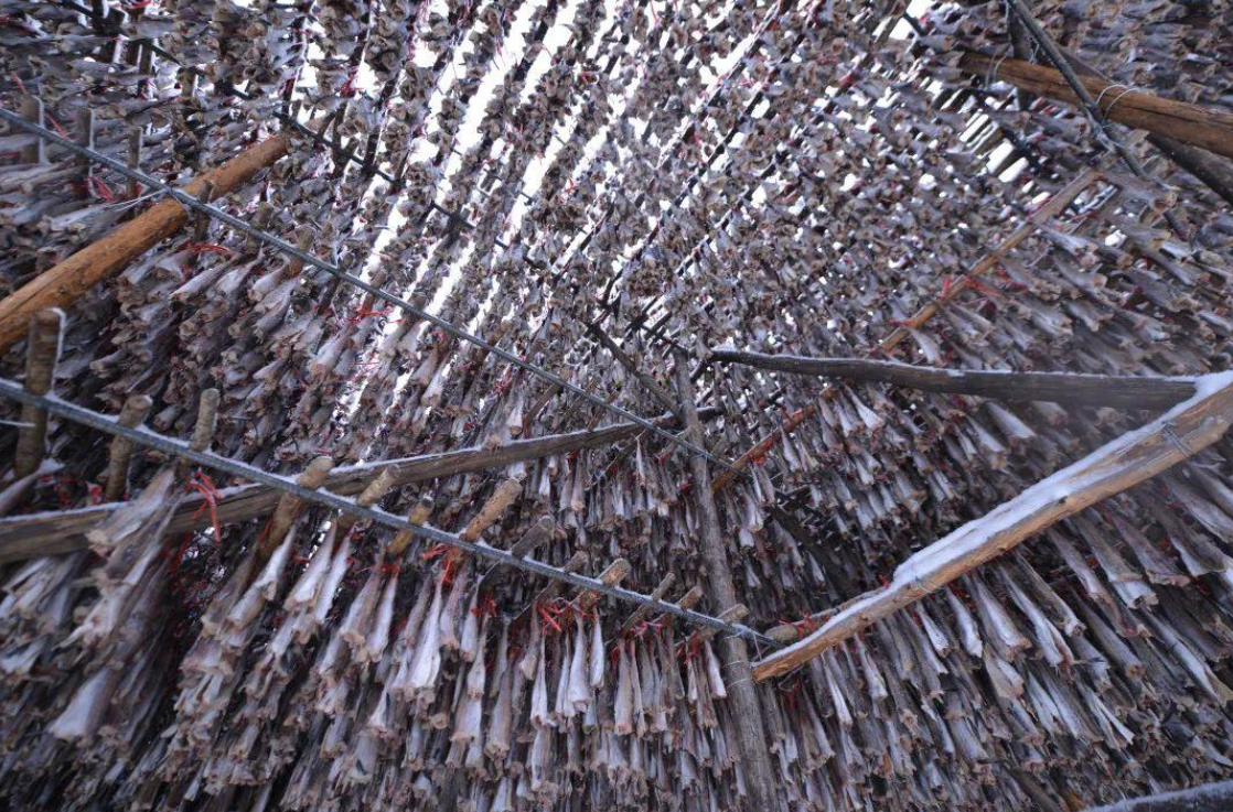 South Korea's "life-saving fish" can be eaten in any part. Why are ...