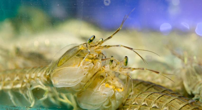 In September, I opened the sea, learned this little trick, and from ...