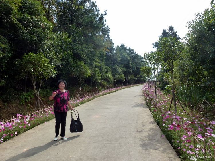 Tour Zhuzhou Dajing Reservoir Scenic Area - iNEWS
