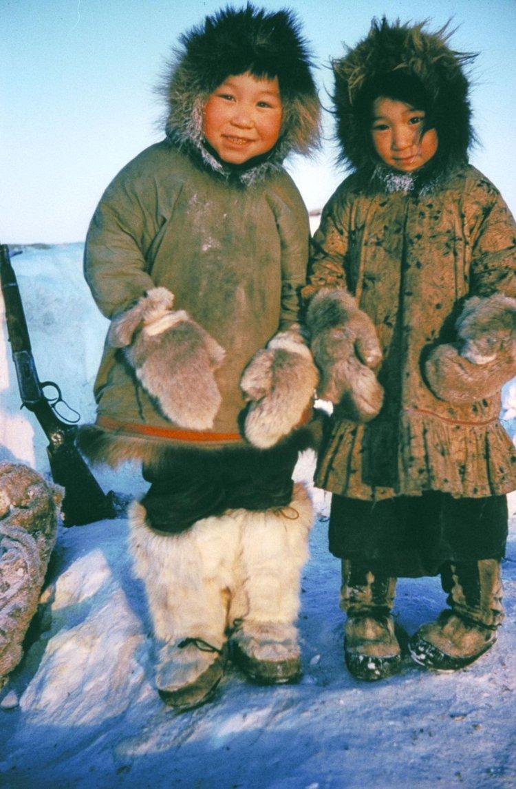 Why did the Inuit evolve the tradition of "treating guests with their ...