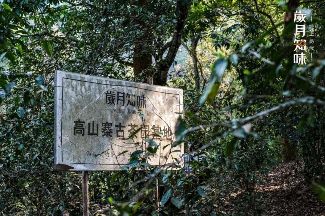 Seven villages and eight villages in the famous mountains of Yiwu ...