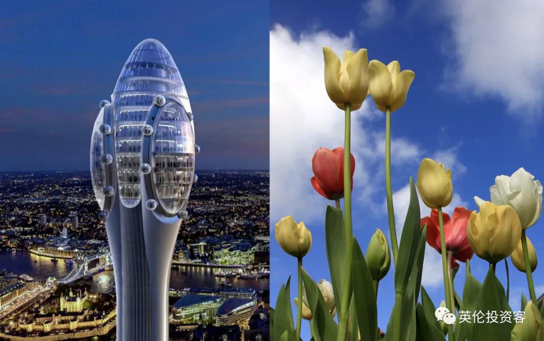 The London "Tulip Building" restarts! The British recreated wonderful ...