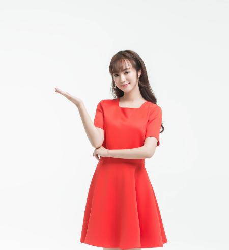 CCTV host: Li Mi - iNEWS