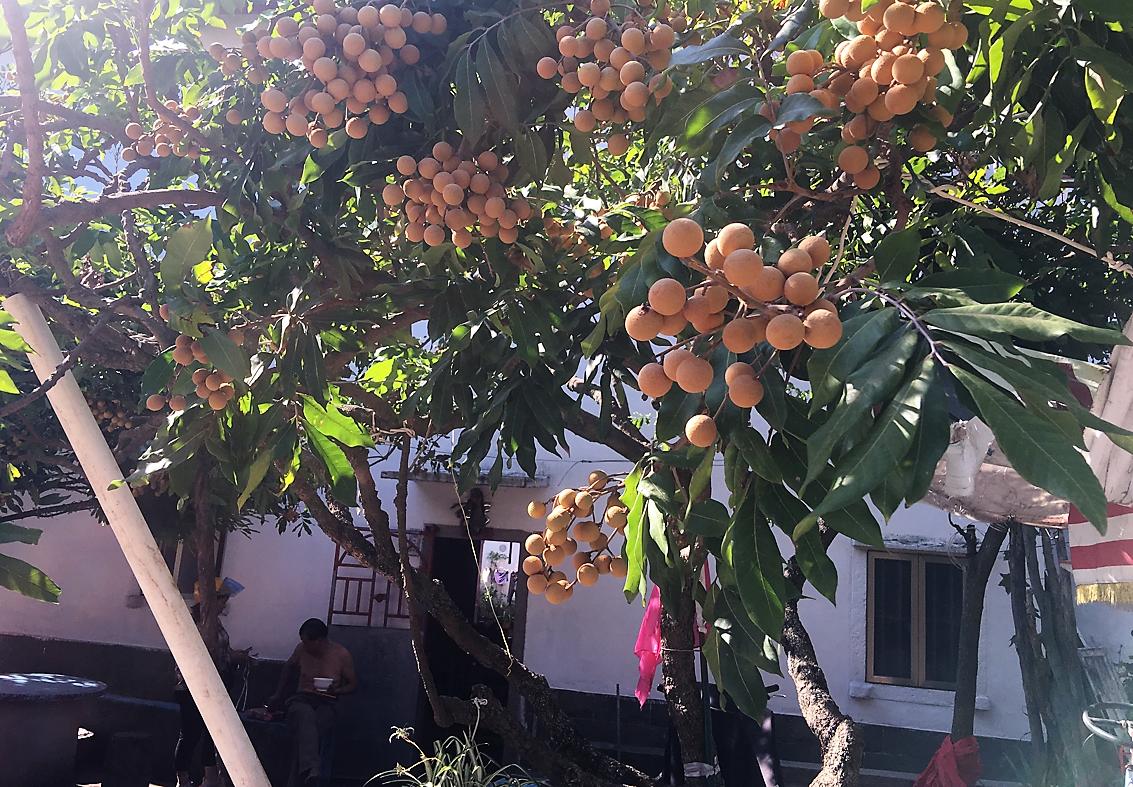 Is it time for Putian to save Putian?Putian is by no means the same as ...