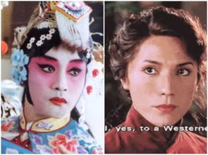 Zunlong: From abandoned baby to superstar, once conquered the West with ...