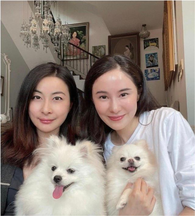 Guo Jingjing's girlfriend group exposed, with chain hotel owner, president of medical beauty ...