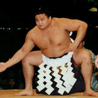 Japan's national skill sumo: Why do Japanese girls want to marry a sumo ...