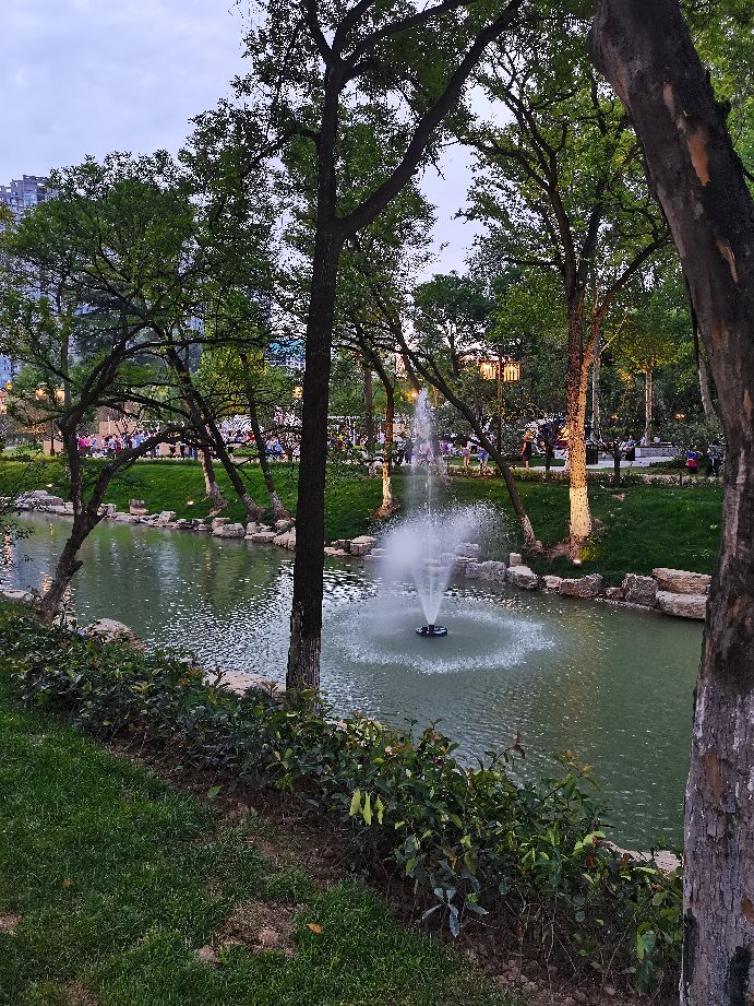 Night tour in Xingqing Park - iNEWS