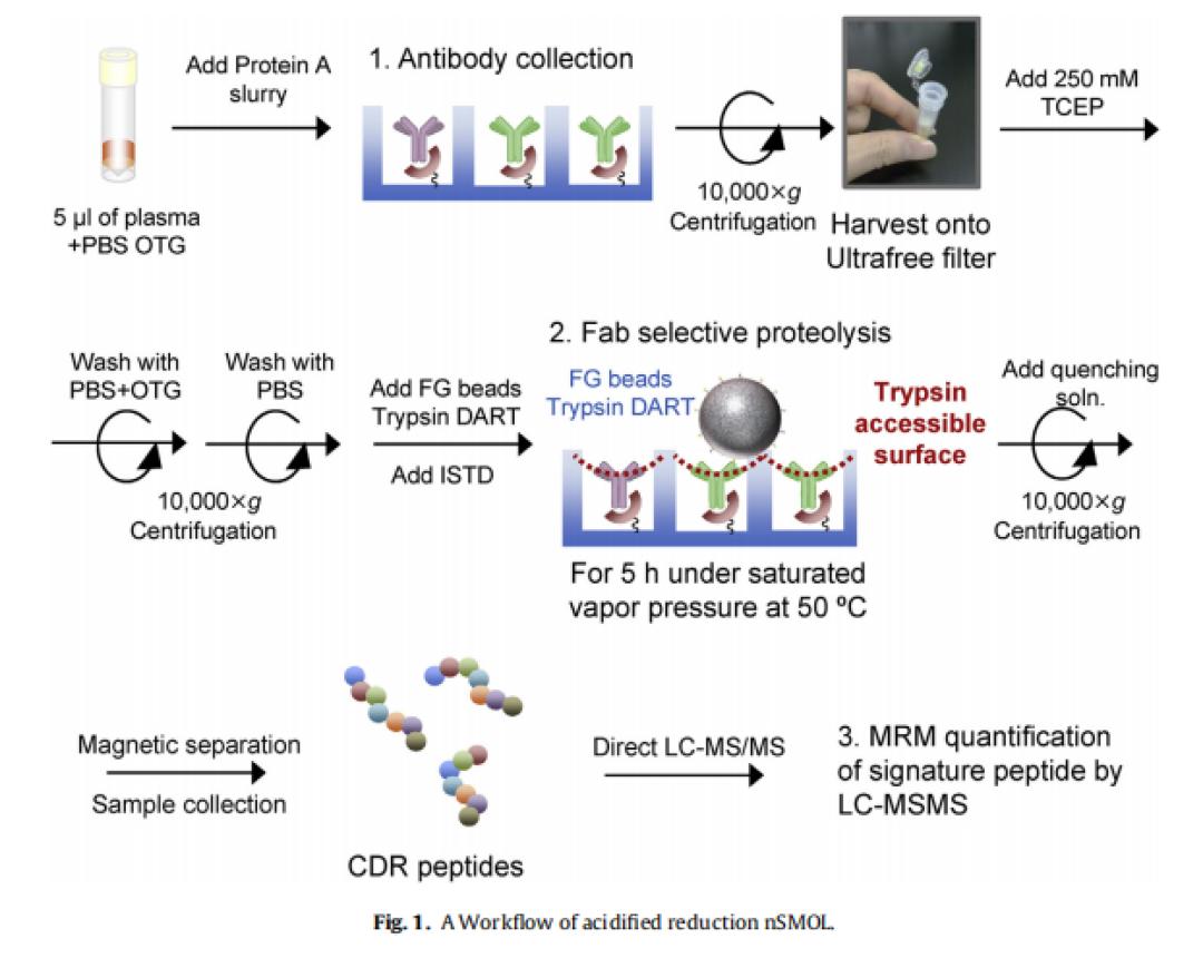 Brief introduction of in vitro application of biomagnetic beads - iNEWS