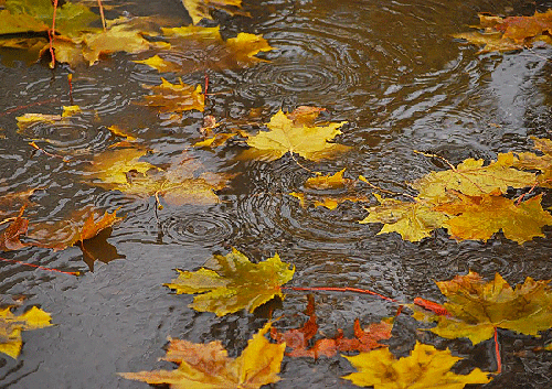 A layer of autumn rain and a layer of cold, one cares about the warmth ...