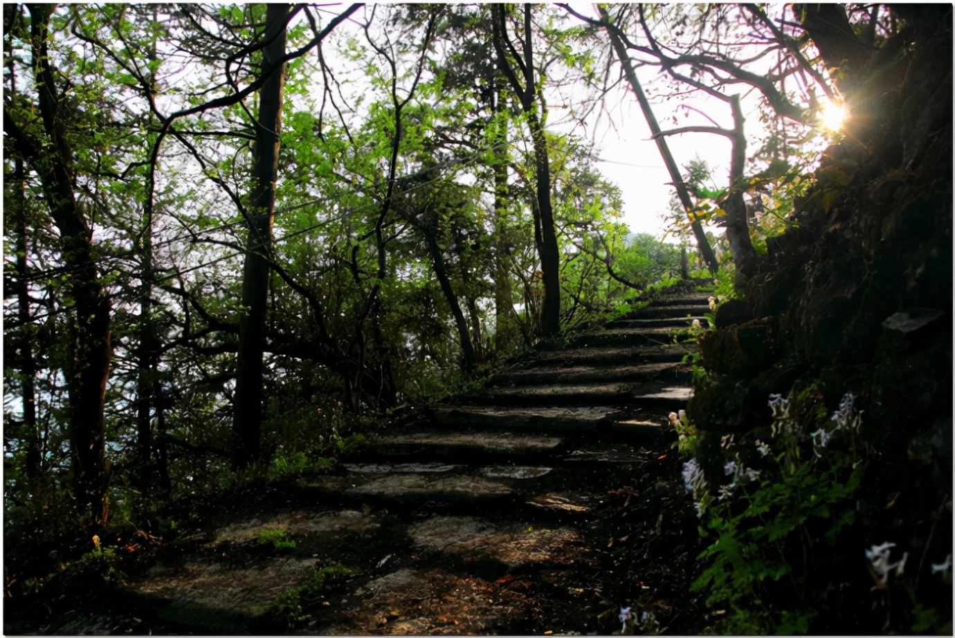 Hangzhou's most beautiful forest trail - iNEWS