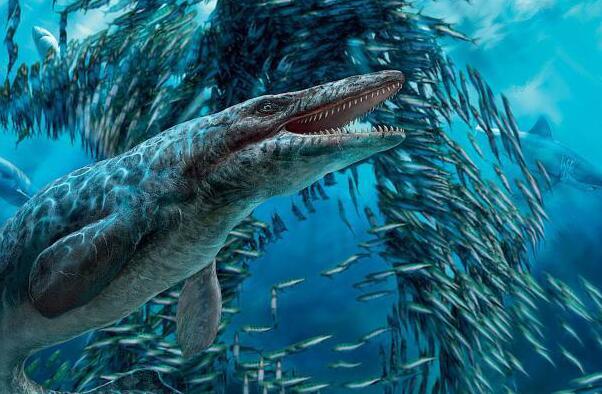 The largest prehistoric marine creature: Hoffman Mosasaur, 17.3 meters ...
