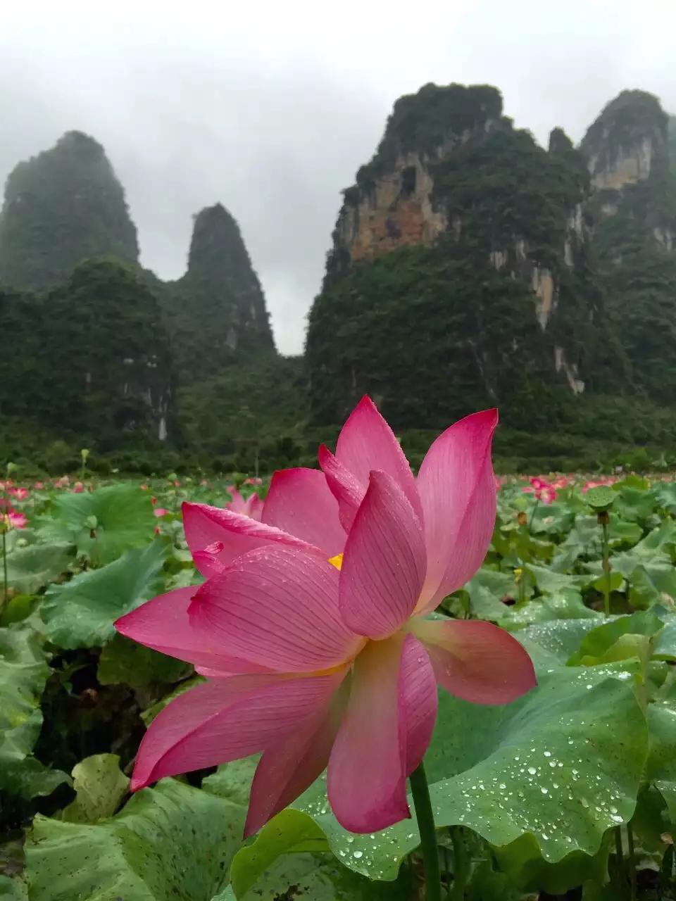 "Tao De Jing and Tai Chi Practice" - iNEWS