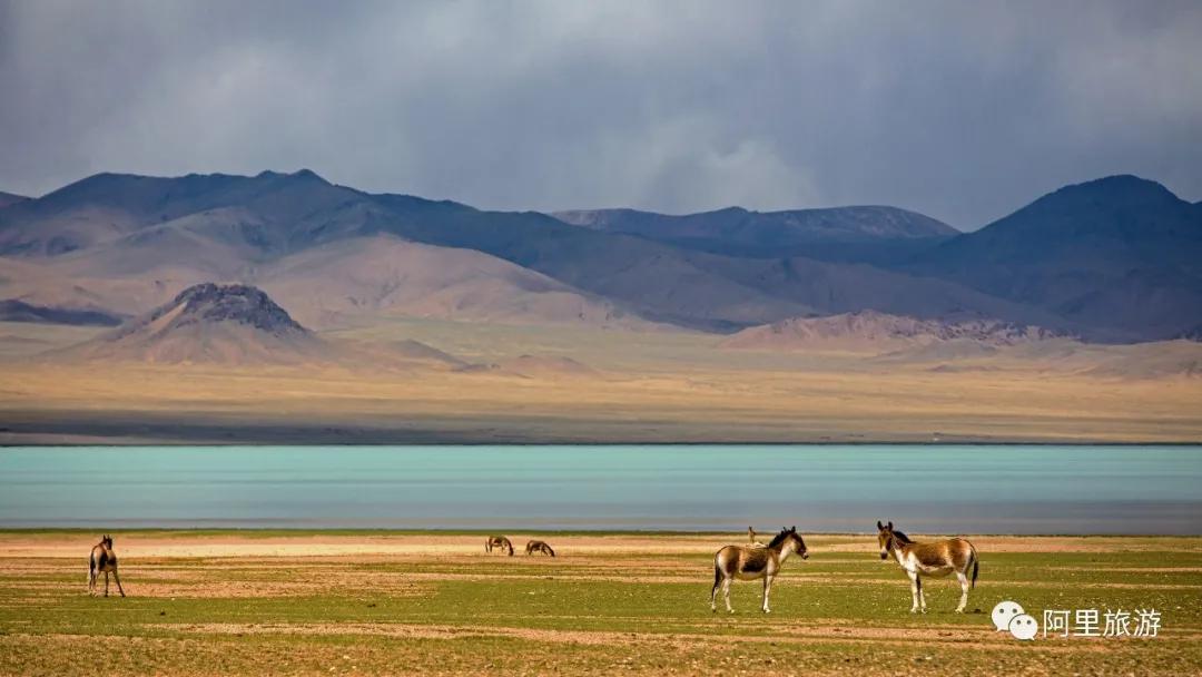 Ali North Line, these lakes are waiting for you to check in - iNEWS