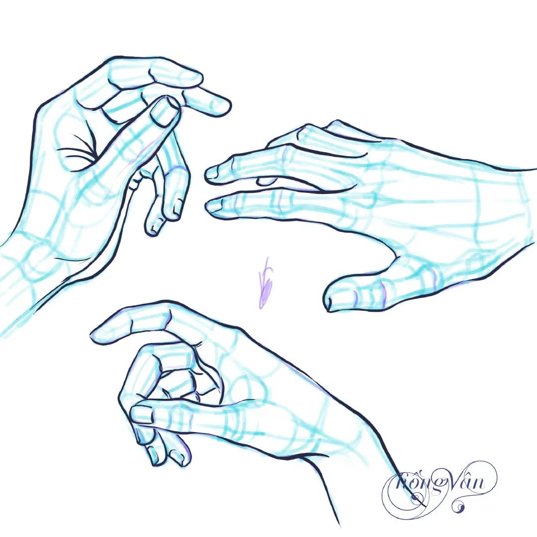"Painting Reference" Human hand drawing reference shared by painter ...